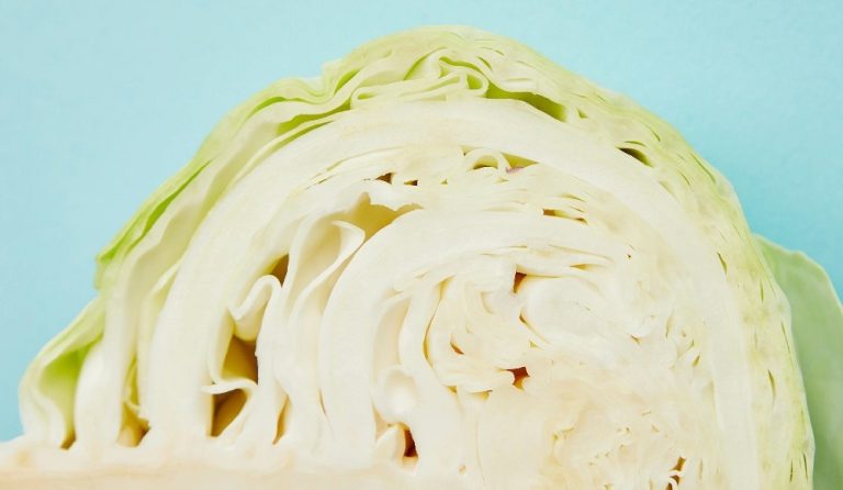 Cabbage in milk recipe