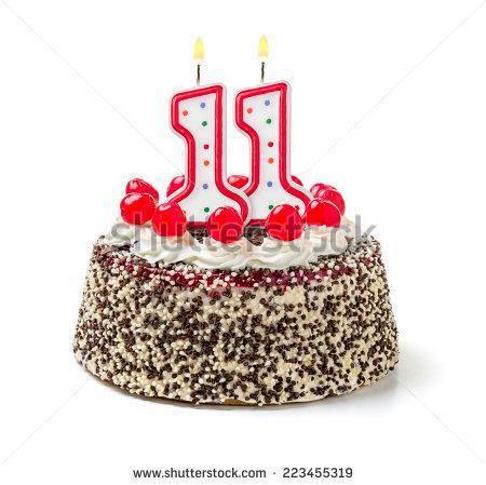 11th birthday cakes for girls - TheSmartCookieCook